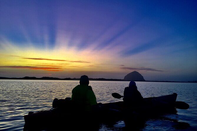 3-Hour Kayaking and Hiking in Californias Central Coast - Deep Dive Into the Experience