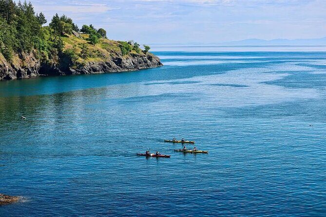3 Hour Kayaking Tours from Friday Harbor - FAQs