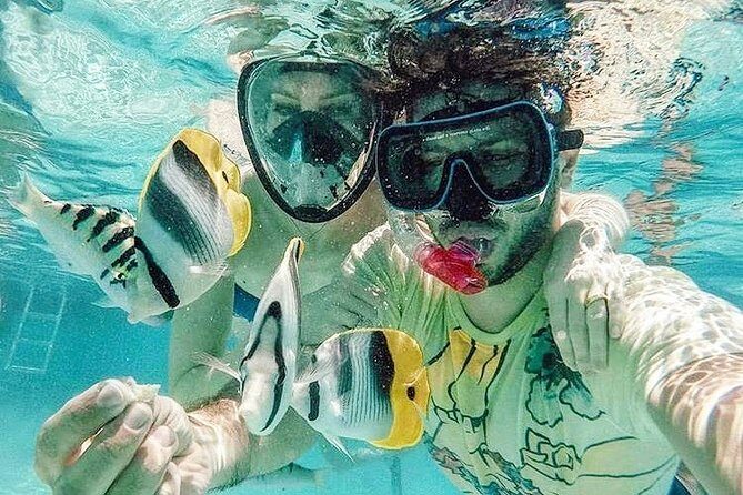 3-hour Lagoon Snorkeling Tour - Private Tour - Key Points