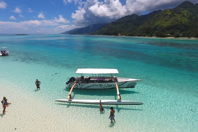 3-hour Lagoon Snorkeling Tour - Private Tour - What Could Be Better?