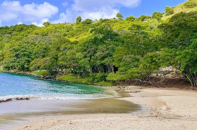 3 hour Land & Sea Tour Castries cruise terminal to Pigeon Island - Authentic Traveler Experiences and Feedback