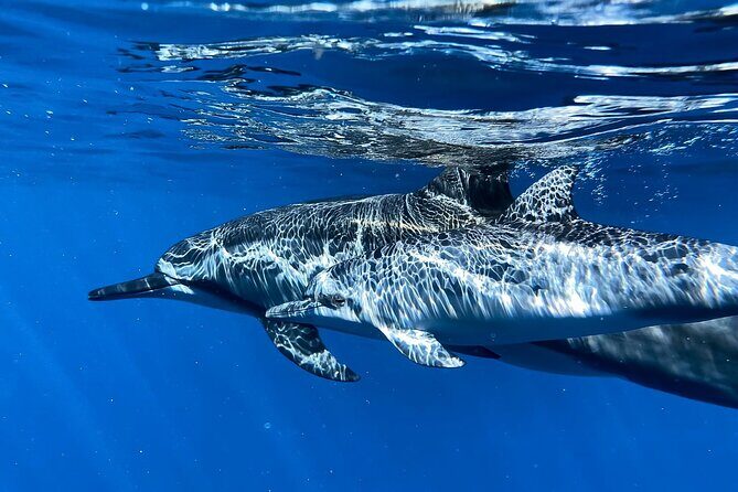 3-Hour Luxury Private Custom Charter - Exploring the Details of the 3-Hour Private Charter
