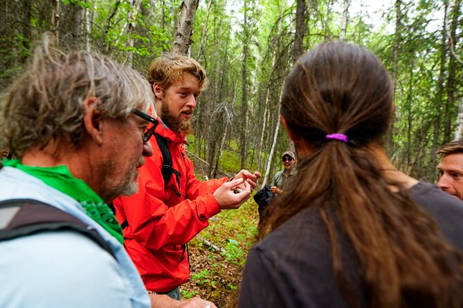 3 Hour Naturalist Walking Tour in Denali National Park - Unique Experiences Along the Trail
