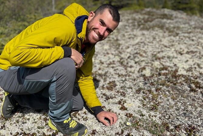3 Hour Naturalist Walking Tour in Denali National Park - Frequently Asked Questions