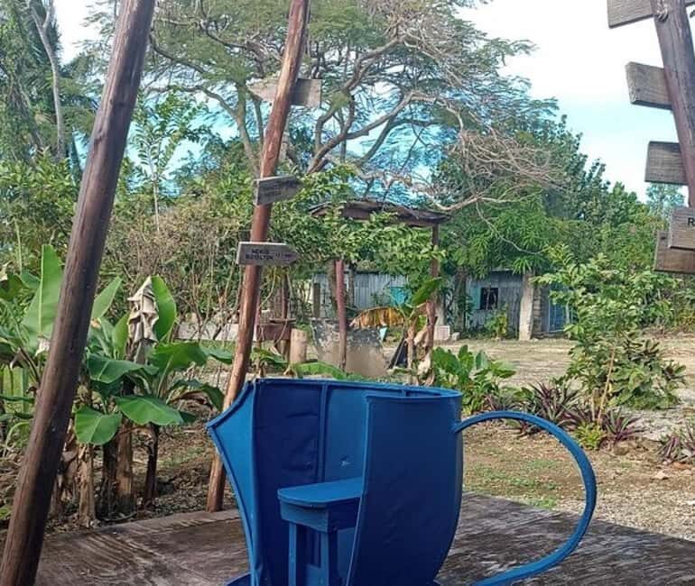 3-Hour Panoramic Tour of Punta Cana with Artisan Market - What to Expect and What You Might Not Love