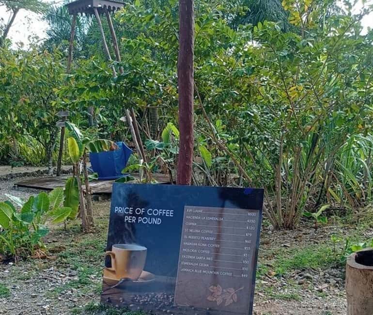 3-Hour Panoramic Tour of Punta Cana with Artisan Market - Who’s This Tour Best For?