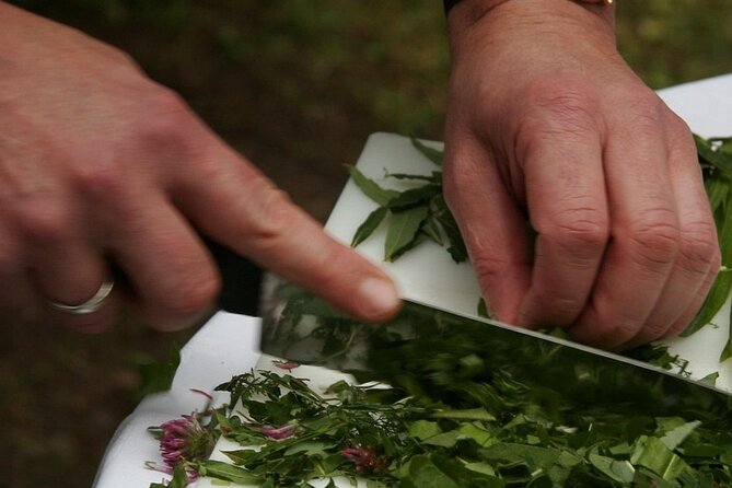 3-Hour Private Cooking Class in Cortona - The Sum Up: Who Will Love This Experience?