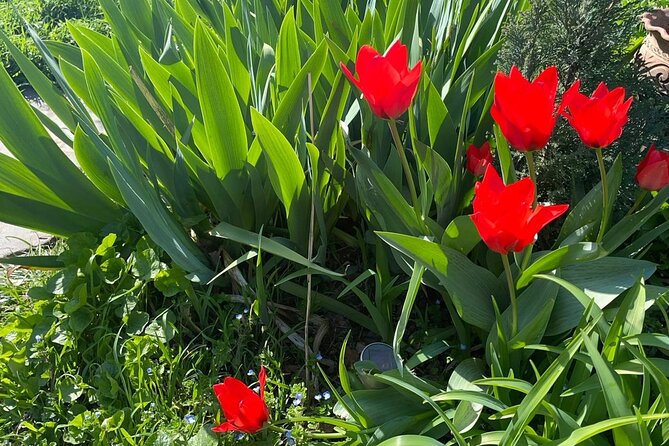 3 Hour Private Dinner in Georgia - Final Thoughts: Who Should Book This?