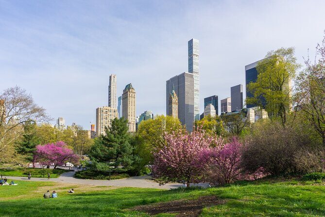 3-Hour Private Guided NYC Central Park Tour with Carrousel Ride - A Deep Dive into the Tour Itinerary