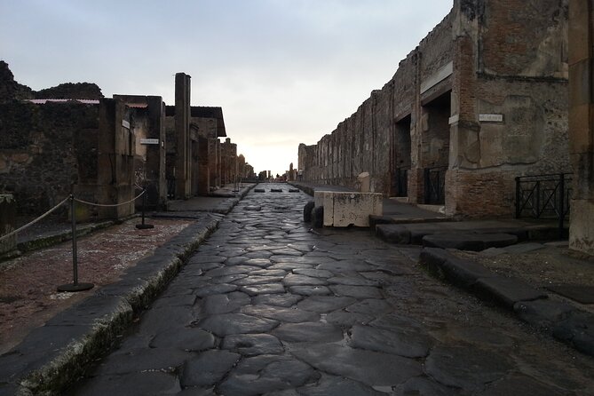 3-Hour Private Guided Walking Tour of Pompeii - Final Thoughts