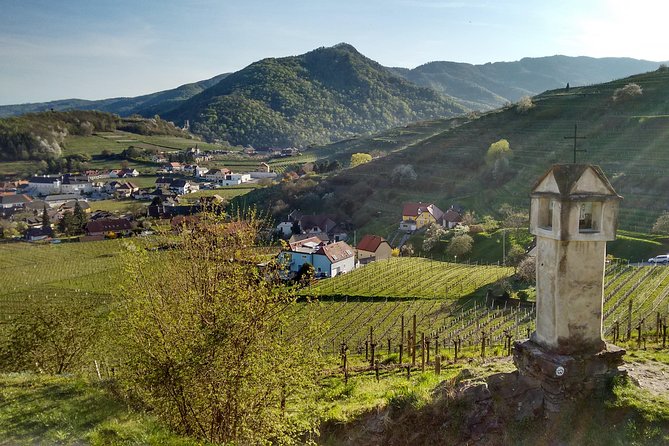 3-Hour Private Hiking Tour to historic places around Spitz in Wachau Valley - An In-Depth Look at the Tour Experience