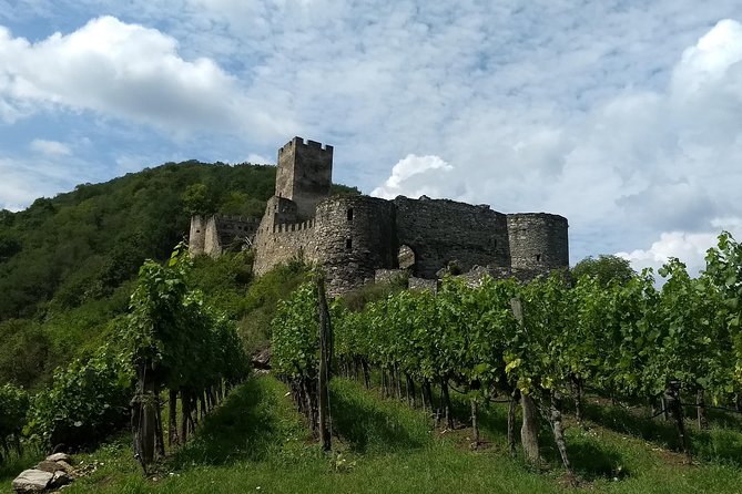 3-Hour Private Hiking Tour to historic places around Spitz in Wachau Valley - Authentic Experiences: What Travelers Say