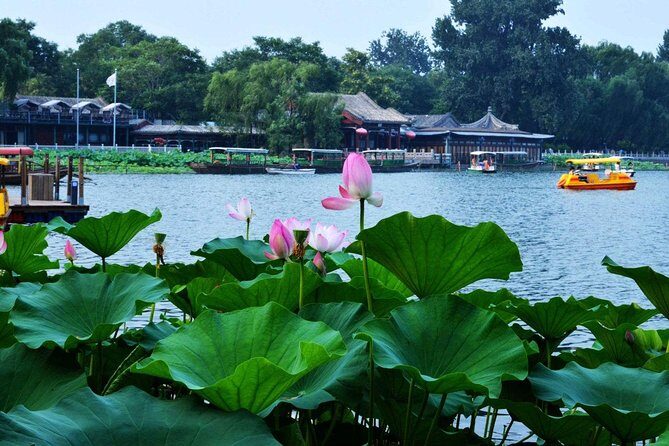 3-Hour Private Hutong Walking Tour with Drum Show at Drum Tower and Tea Tasting - Key Points