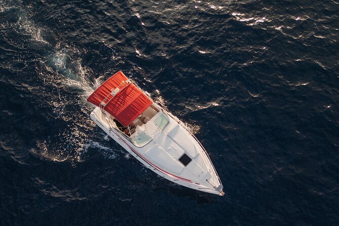 3 Hour Private Luxury Charter Experience in Costa Adeje, Tenerife - Private Nature of the Tour