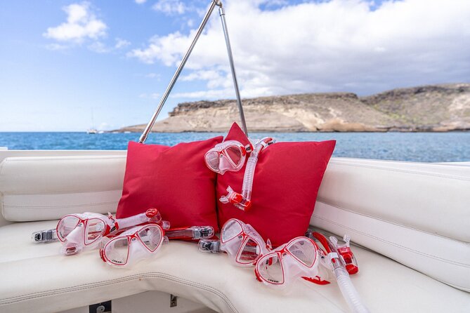 3 Hour Private Luxury Charter Experience in Costa Adeje, Tenerife - Confirmation and Accessibility Details