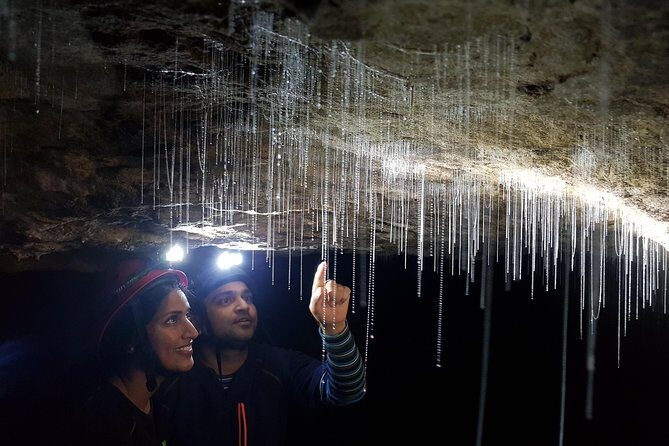 3-Hour Private Photography Tour in Waitomo Caves - A Deep Dive into the 3-Hour Private Photography Experience