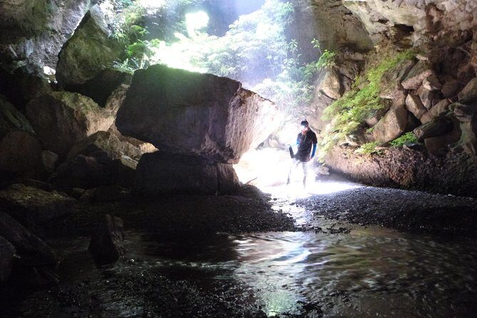 3-Hour Private Photography Tour in Waitomo Caves - Final Thoughts: Is This the Tour for You?