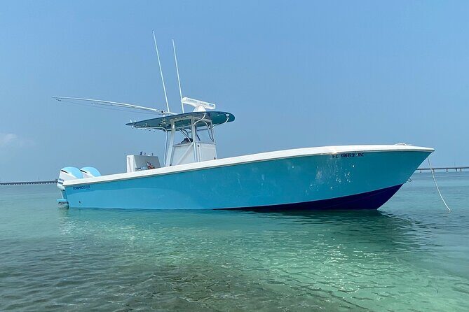 3 Hour Private Snorkeling in Marathon Florida - Additional Activities