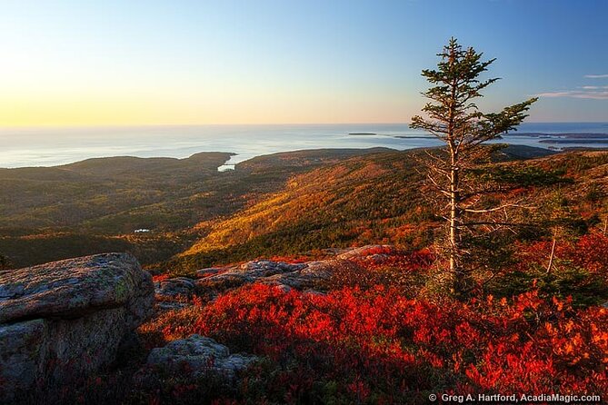 3 Hour Private Tour: Explore all the top spots of Acadia! - The Real Value of the Tour