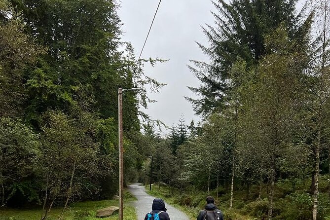 3-Hour Private Tour Hiked Through the Bergen Mountains - Tour Accessibility and Requirements