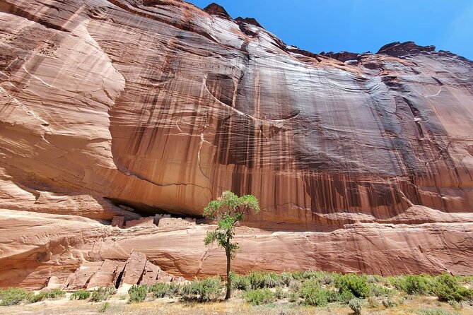 3 hour Private Tour in Chinle - The Sum Up: Why This Tour Is a Standout Choice