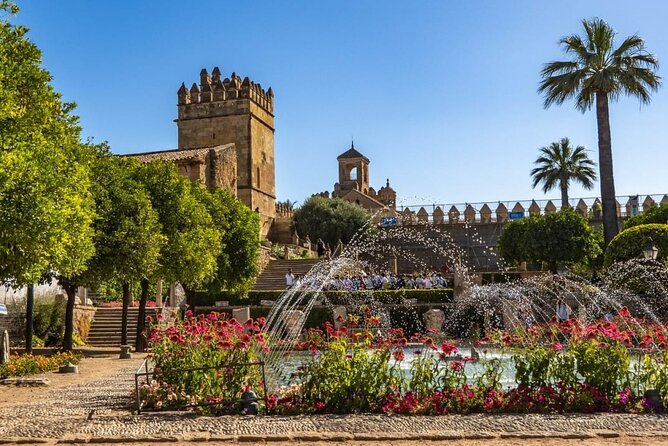 3-Hour Private Tour of Cordoba Tickets included Week Days - What Travelers Are Saying