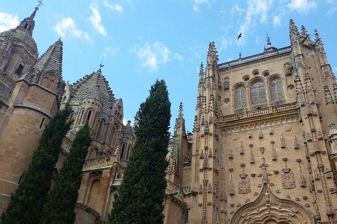 3-hour Private Tour of Salamanca - Who Should Consider This Tour?
