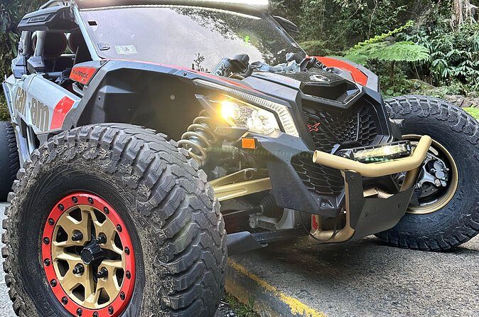 3-Hour Private UTV Tour in San Juan - Who Should Consider This Tour?