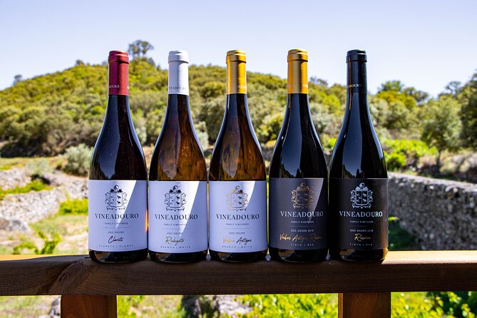 3-Hour Private Wine Tasting in Quinta da Vineadouro with Lunch - Who Should Consider This Tour?