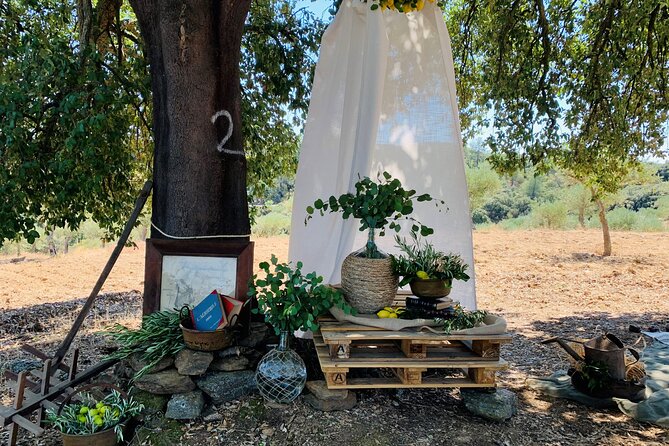 3-Hour Private Wine Tasting in Quinta da Vineadouro with Lunch - Final thoughts