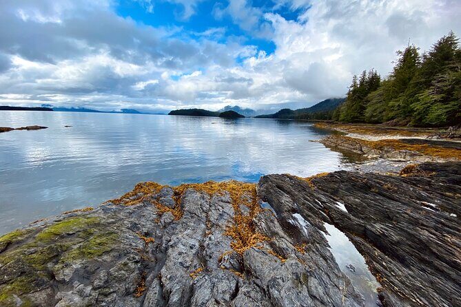 3-Hour Rainforest, Beach & Wildlife Walk - Key Points