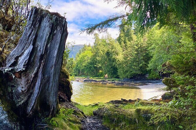 3-Hour Rainforest, Beach & Wildlife Walk - An In-Depth Look at the 3-Hour Rainforest, Beach & Wildlife Walk
