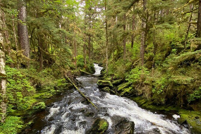 3-Hour Rainforest, Beach & Wildlife Walk - Who Should Consider This Tour?