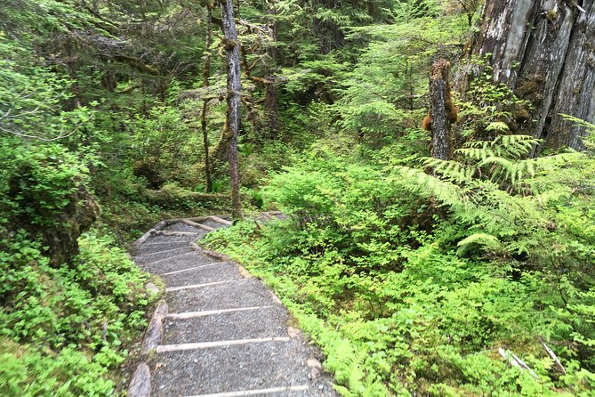 3 Hour Rainforest Walk & Totem Park Wild Wolf Tours - Totem Park Exploration