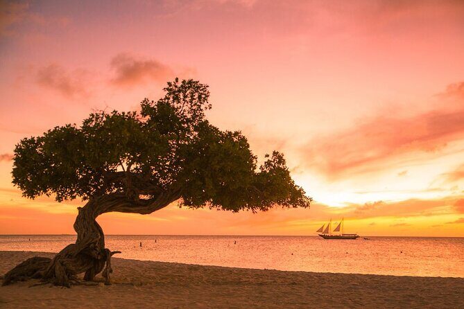 3-Hour Retreat for Couples and Marriage Counseling in Aruba - Key Points