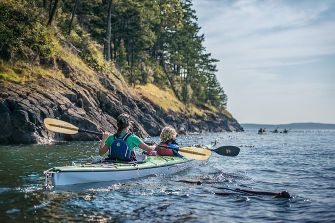 3-Hour Sea Kayak Tour in the San Juan Islands - Scenic Highlights of the San Juan Islands