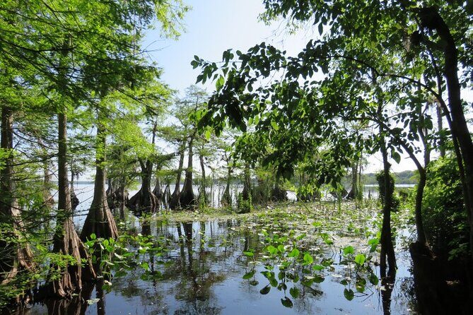 3 Hour Small Group Lake Norris Kayak Activity - Discovering Lake Norris: A Hidden Gem for Nature Enthusiasts