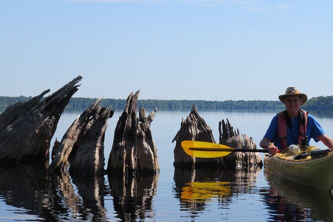3 Hour Small Group Lake Norris Kayak Activity - What Makes This Tour Stand Out?