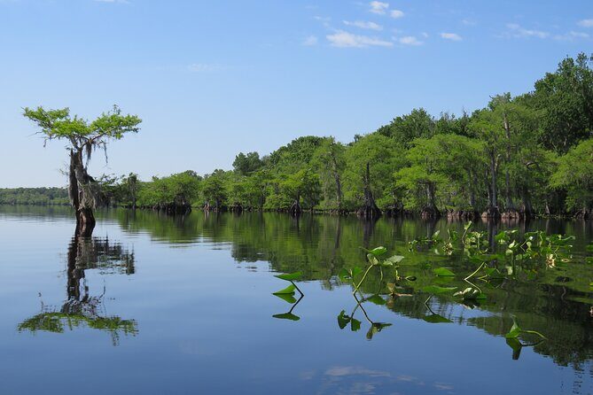 3 Hour Small Group Lake Norris Kayak Activity - The Reviews Speak for Themselves