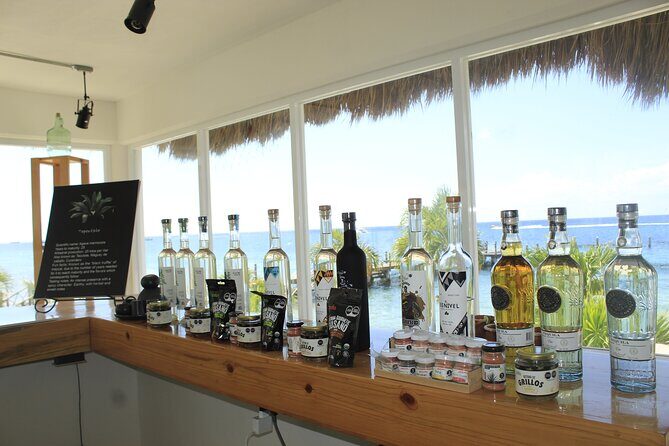 3-Hour Small-Group Mezcal and Tequila Tasting activity from Cozumel - Why this tour is worth the price
