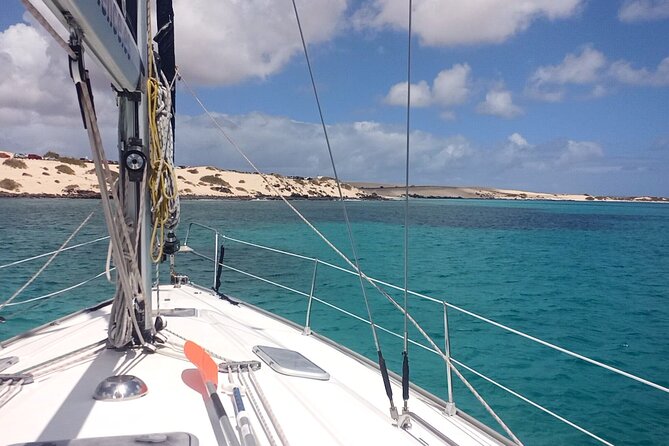 3-Hour Small-Group Sailing Tour around the Lobos Island - Pricing, Value, and Booking