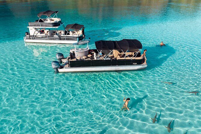 3-Hour Snorkeling Tour - The Sum Up: Who Is This Tour Best For?