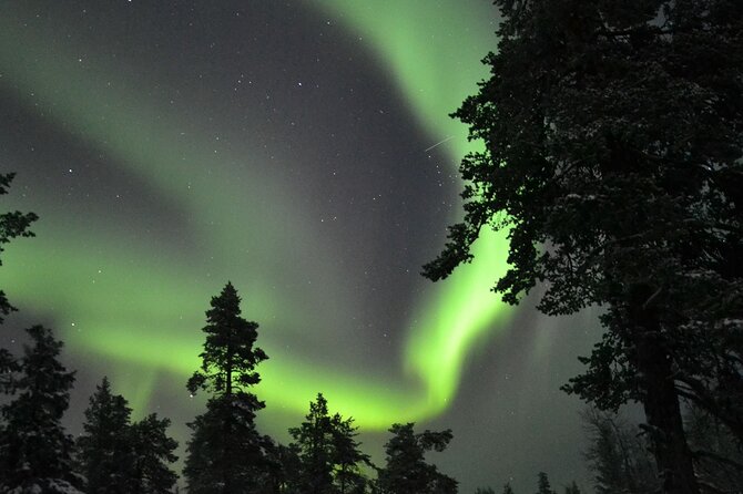 3-Hour Snowmobile Safari to Search Northern Lights in Levi - Preparing for the Adventure