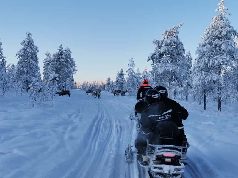 3-hour snowmobiling adventure in Levi - What to Expect from the Tour