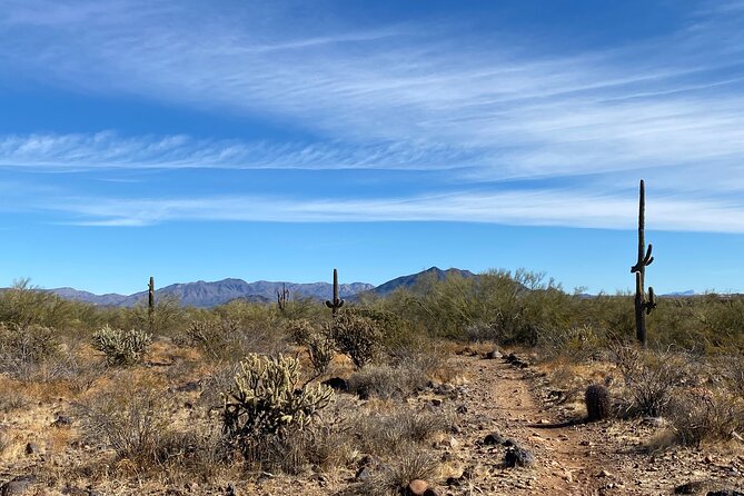 3 Hour Sonoran Desert Private Guided Mountain Bike Tour - Guidance and Expertise