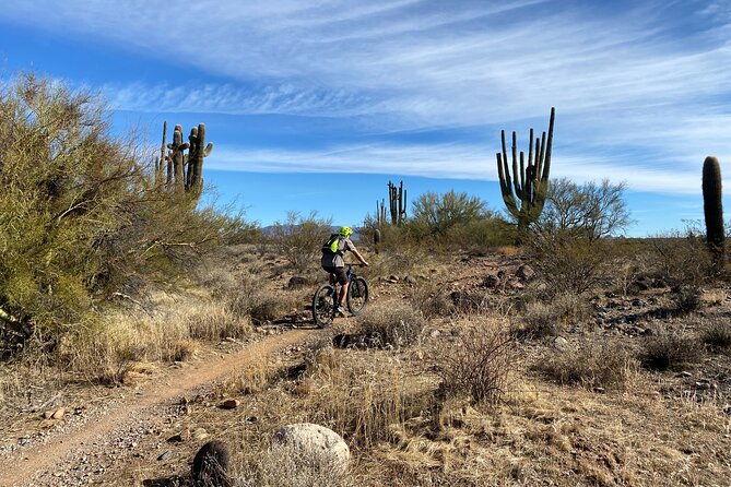 3 Hour Sonoran Desert Private Guided Mountain Bike Tour - Physical Requirements and Accessibility