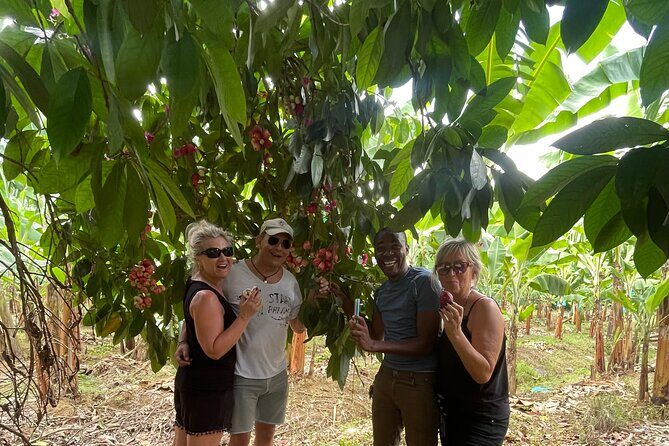 3-Hour St. Lucia Island Tour with Zero Entry Free - Who Will Love This Tour?