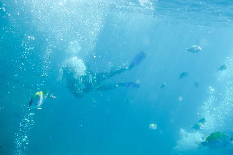 3-Hour Stand up Paddle and Snorkel at Los Cabos - Final Thoughts