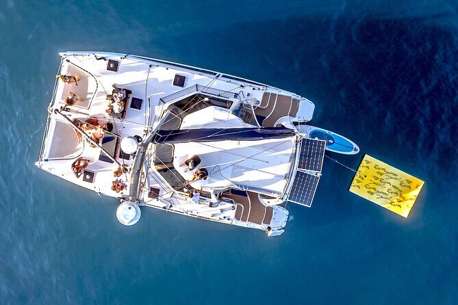 3 hour Sydney Harbour Tour Onboard Stunning Catamaran, ALILA - Key Points