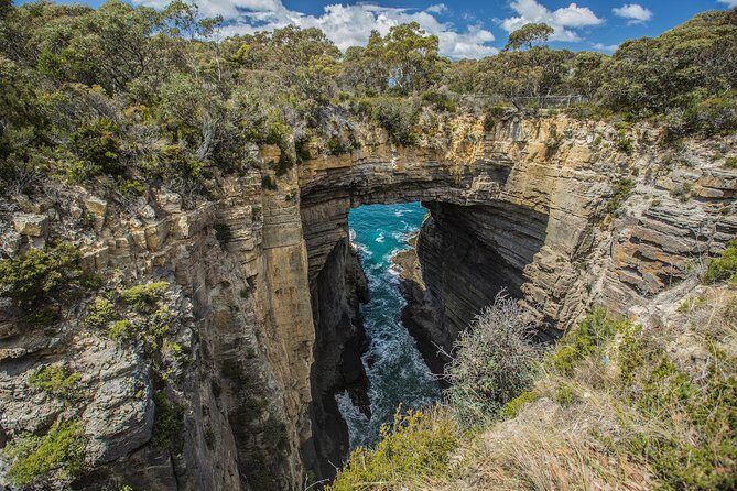 3-Hour Tasman Peninsula Wilderness Cruise from Port Arthur - Authentic Experiences and Guest Feedback